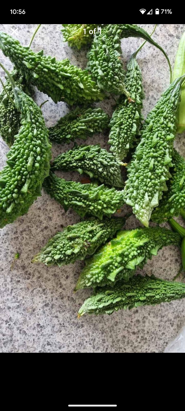 Bitter Gourd Seeds