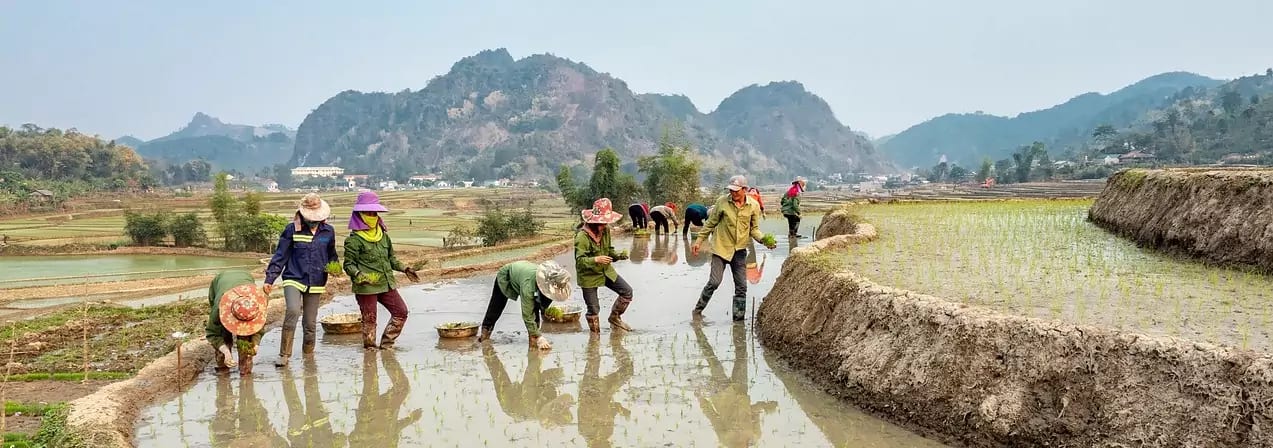 Official Chapa Express Train booking website