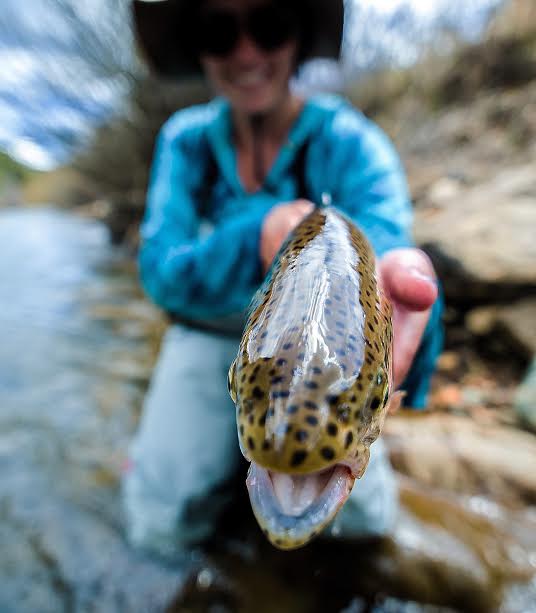 How to Release a Trout in 30 Seconds