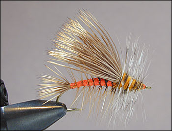 Attractor Flies by Gene Rea - Colorado Fly Fishing Guides