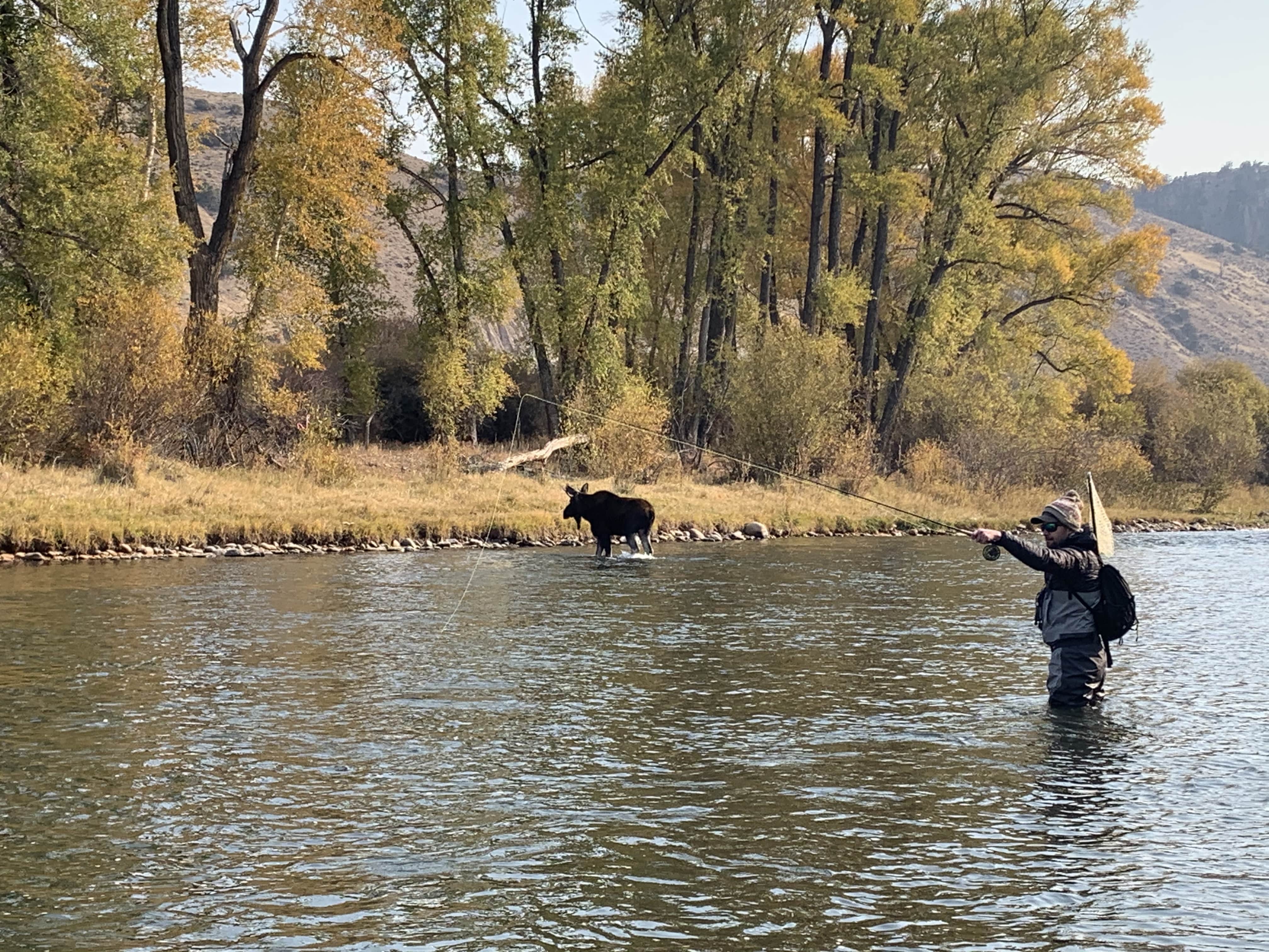 Winter Fly Fishing along the Upper Colorado & Williams Fork Rivers – A ...