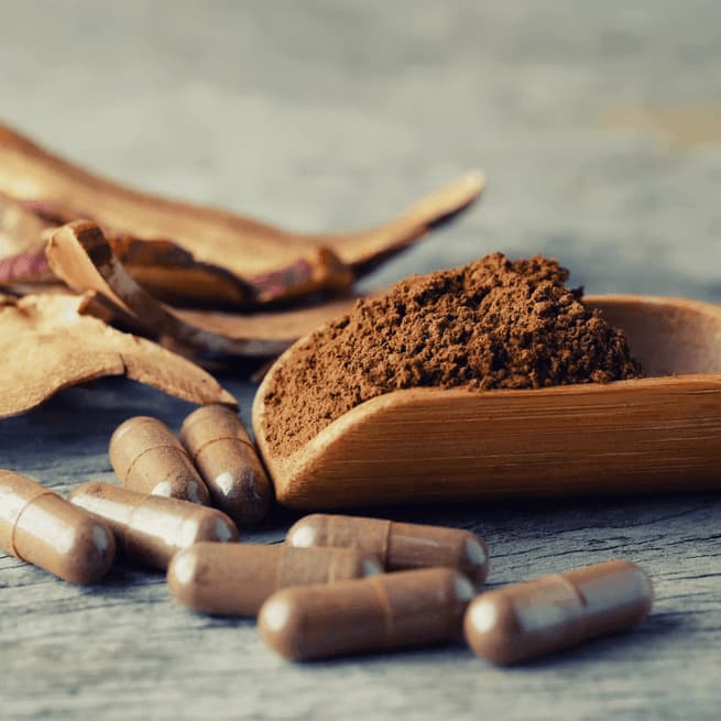 What Are Mushroom Capsules and Their Benefits?