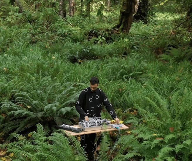 Why Mushroom Music is Taking the Internet by Storm