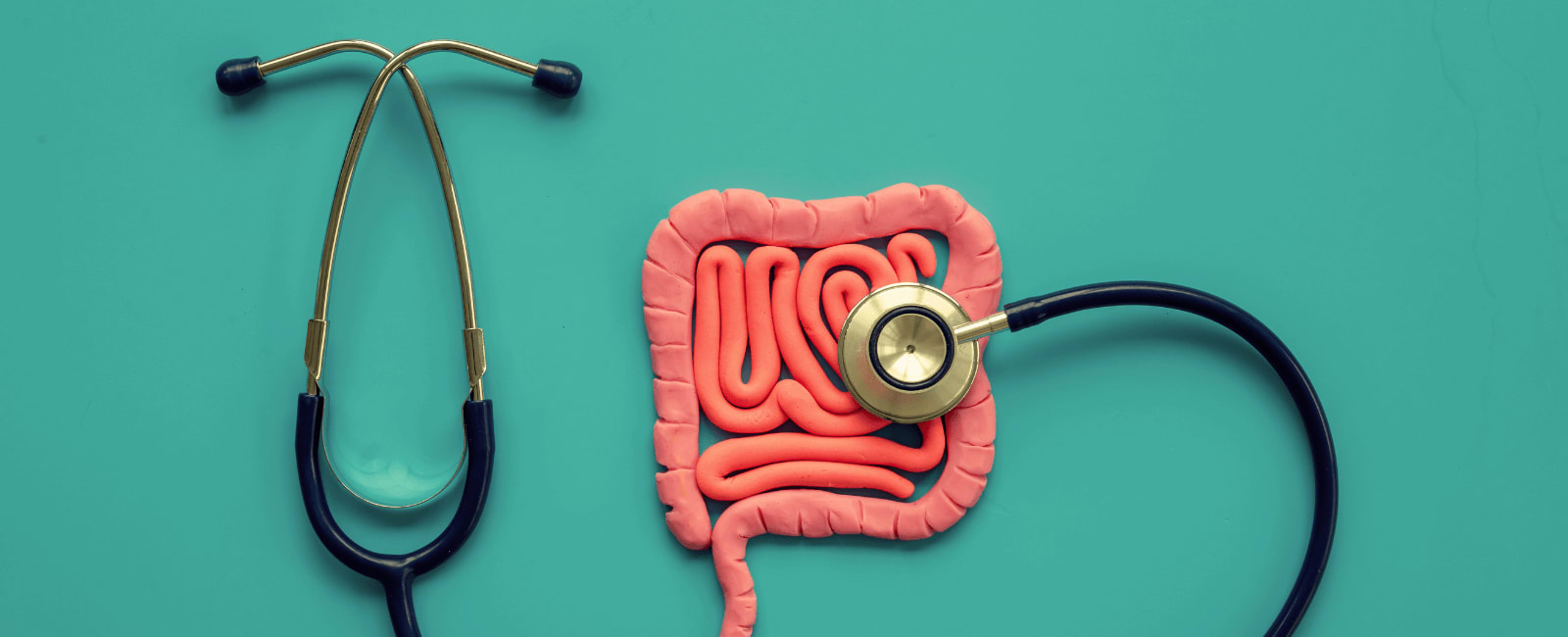 Exploring the Gut-Lung Axis: The Hidden Connection Between Your Gut and ... Exploring the Gut-Lung Axis: The Hidden Connection Between Your Gut and ...