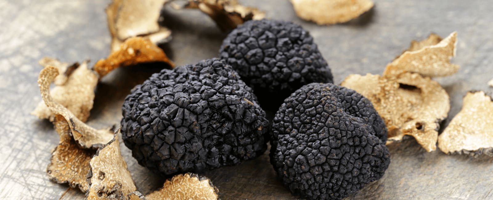 Understanding Truffles: The World's Most Coveted Fungi - Shroomer