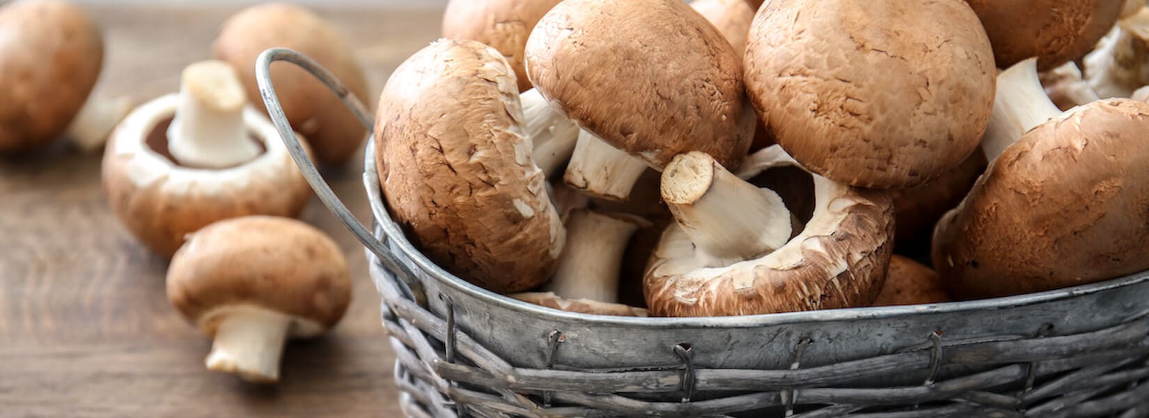 A Cremini Mushrooms Guide for Beginners - Shroomer