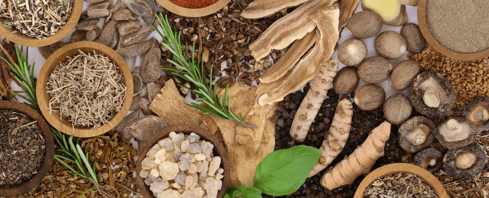 Nervine Tonics 101: Natural Remedies for a Calmer Mind - Shroomer