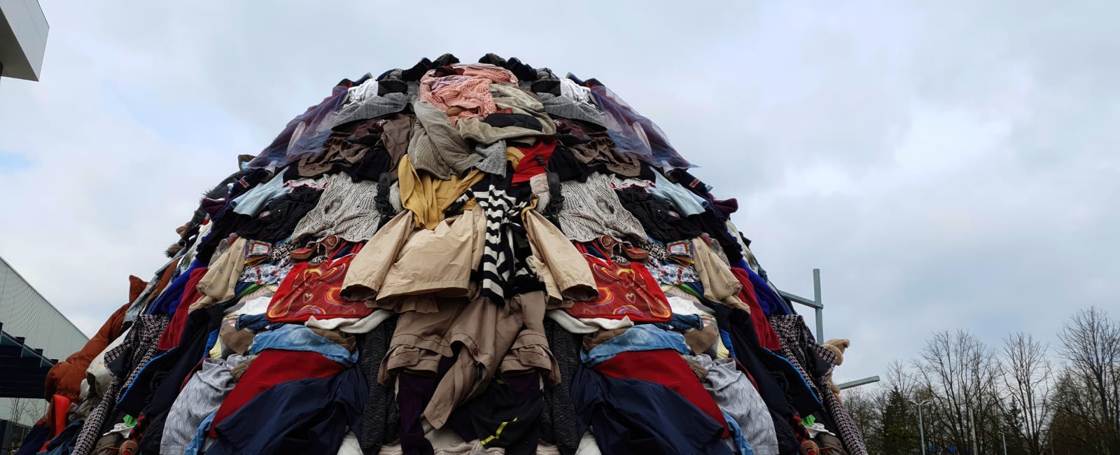 Edible Mushrooms Could Be the Answer to Fast Fashion Waste - Shroomer