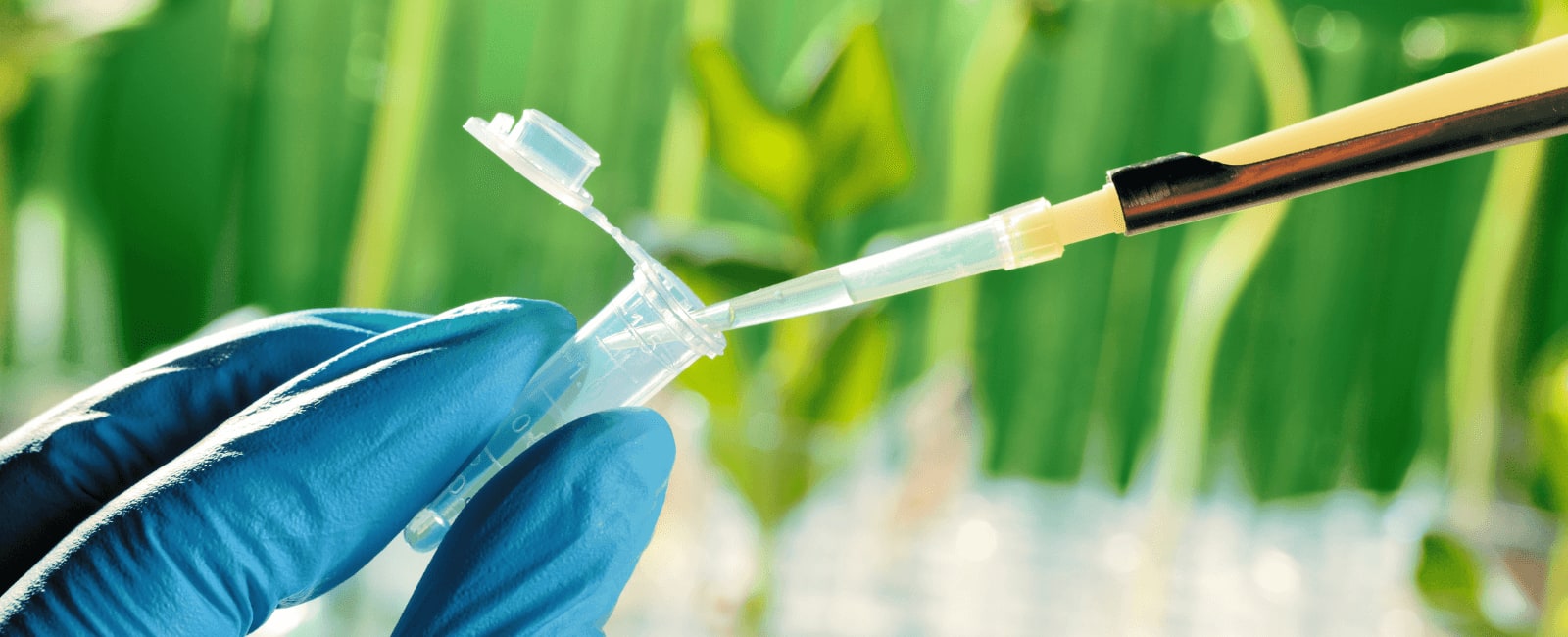 Genetically Engineered Microbes Could Transform Our World – But At What ...