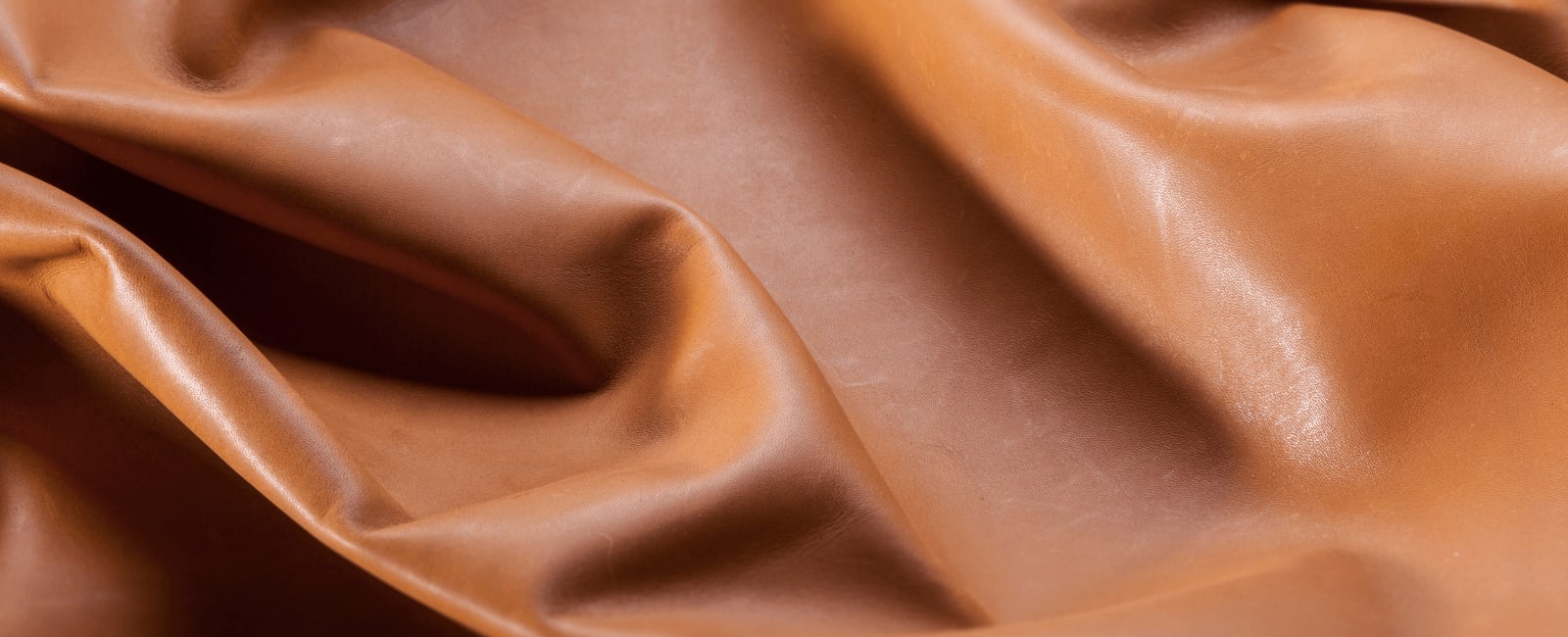 MycoWorks, a Mycelium Textile Innovator, Achieves Production ...