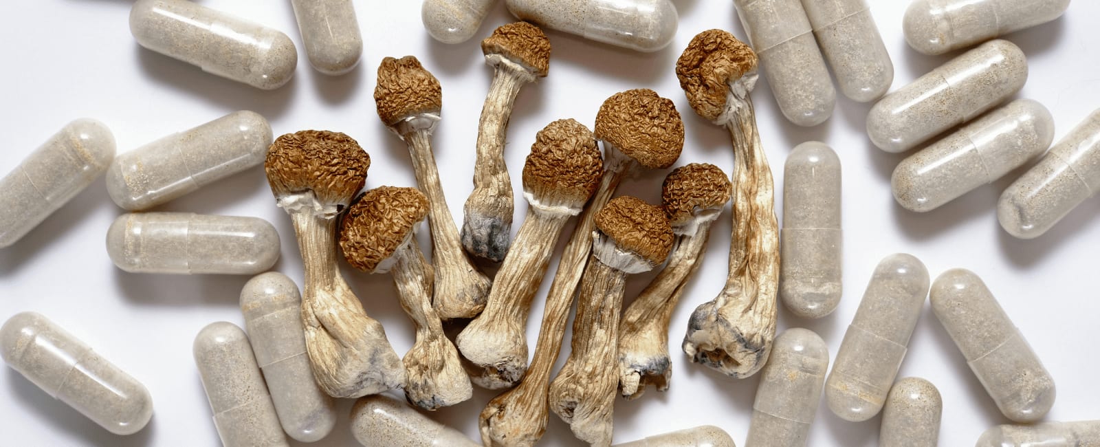 Study Establishes Best Practices for Psilocybin Therapy - Shroomer