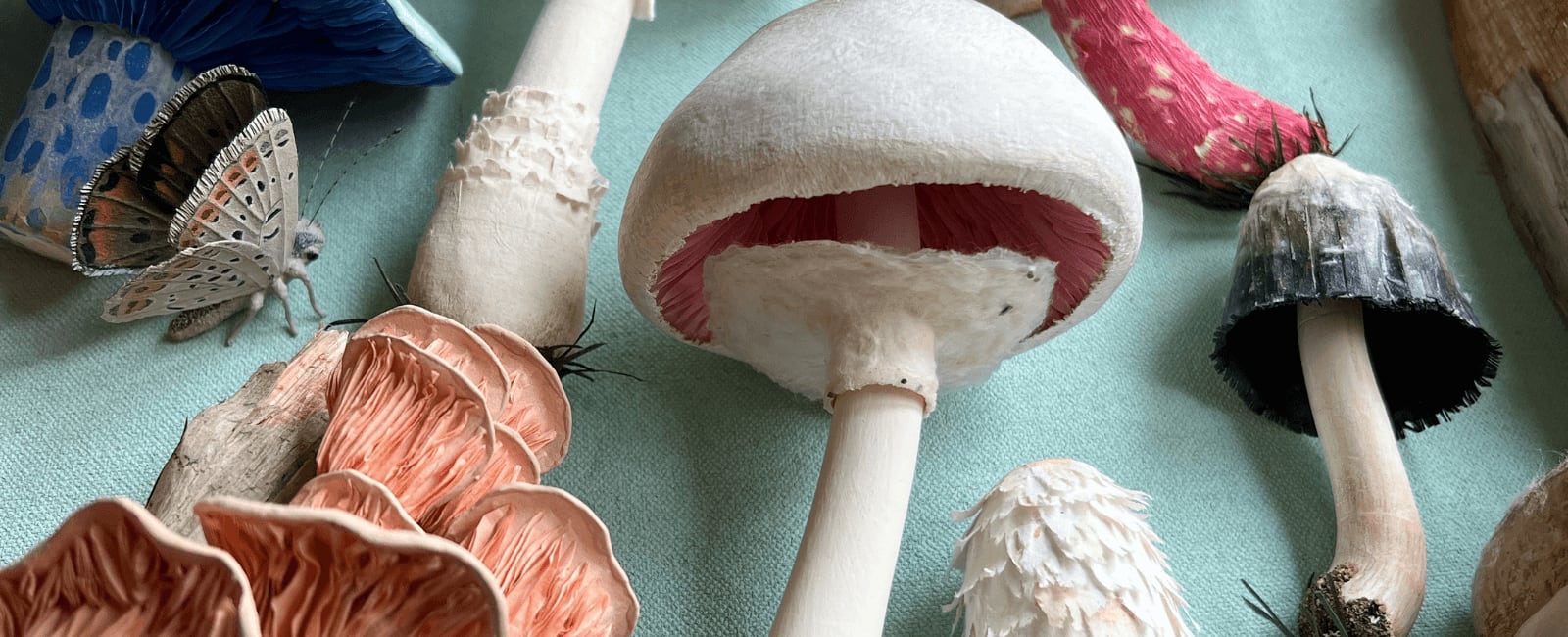 Connecting with Nature Through Art: An Interview with Paper Botanical ...