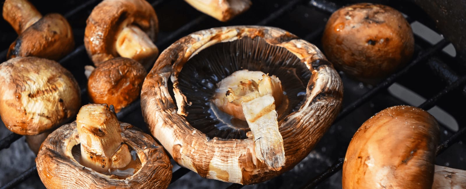 Can Mushrooms Replace Meat? A Nutritional and Culinary Comparison ...