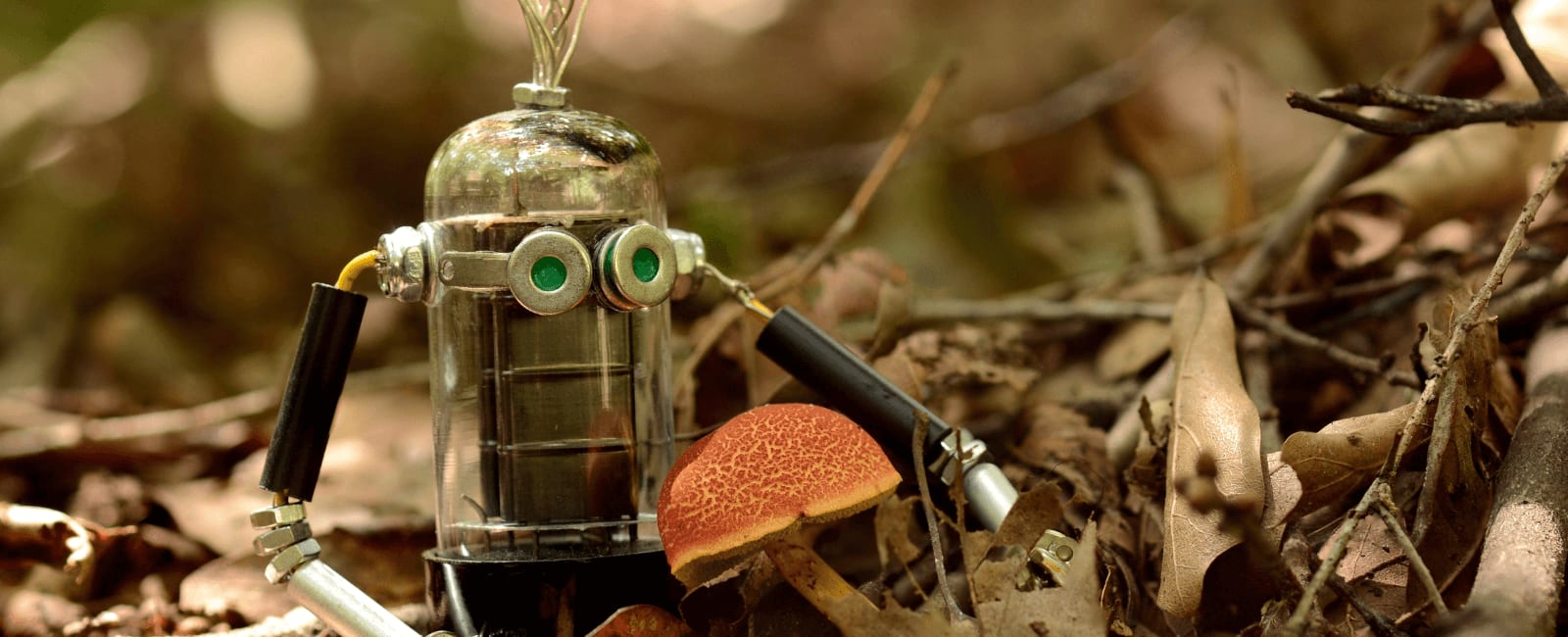 Learn: Fungi and Mushroom Tech and Innovation