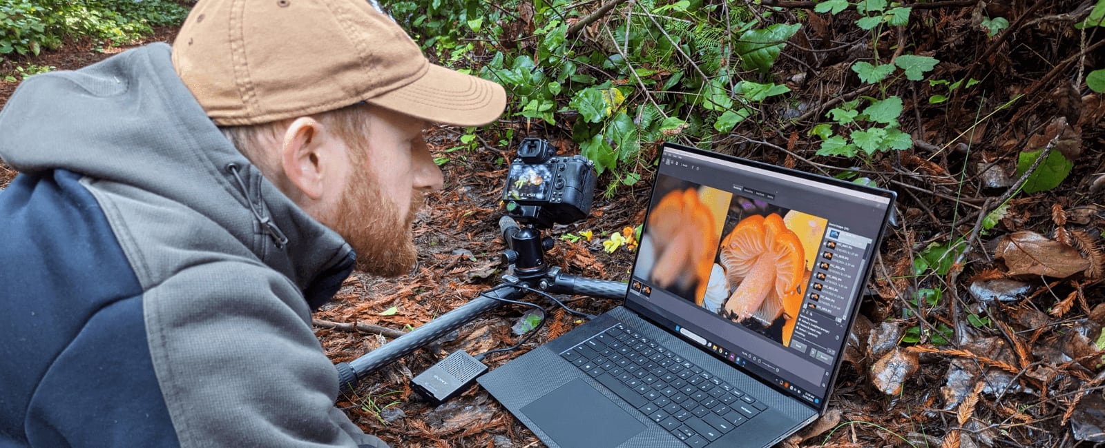 Learn: Interviews with Mushroom Experts and Artists