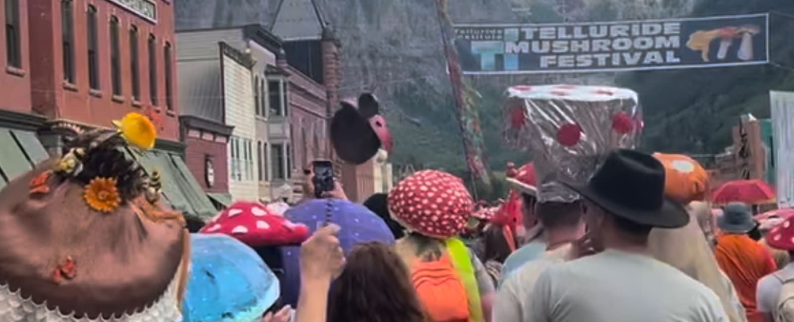 2025 Mushroom Festival Guide: Complete Events Directory
