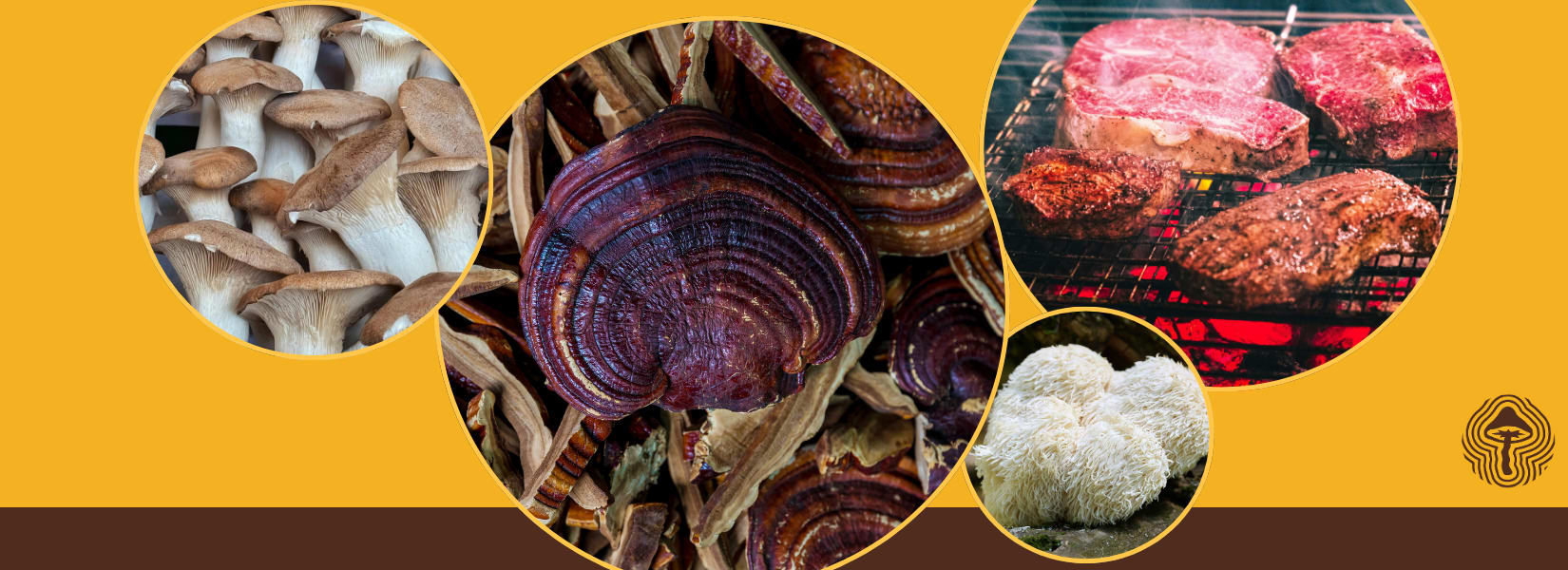 Cancer Cell Shutdown in Lab Models, Mushroom Marinades Boost Beef ...