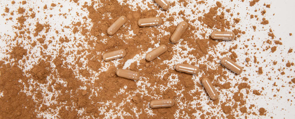 The Guide to Mushroom Supplements, Extraction Types, and Recommendations