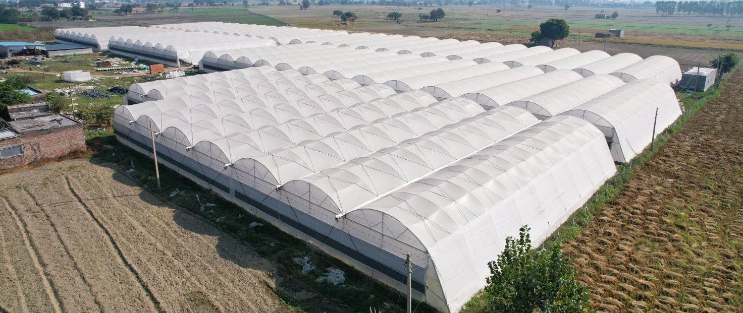 Panipat Farm - Eekifoods