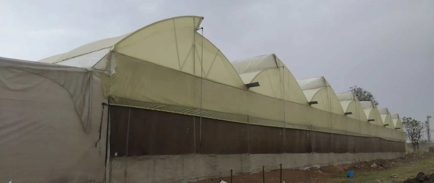 Bhilwara Farm - Eekifoods