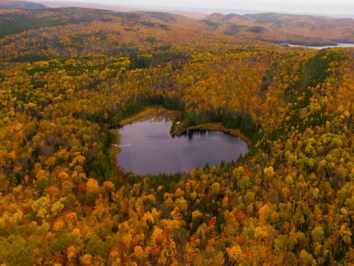 Jet Tours En Liberté Le Québec version naturel