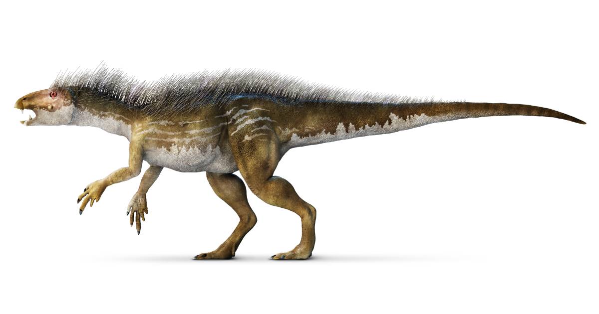 Heterodontosaurus Facts For Kids | DK Find Out