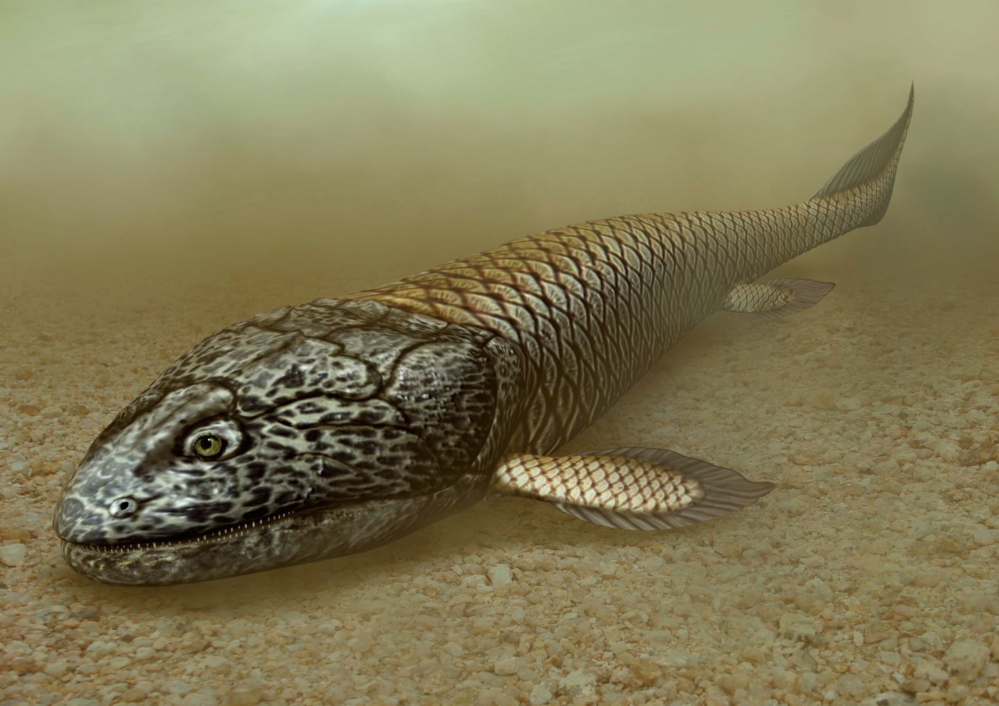 DK Find Out! | Fun Facts for Kids on Animals, Earth, History and more!