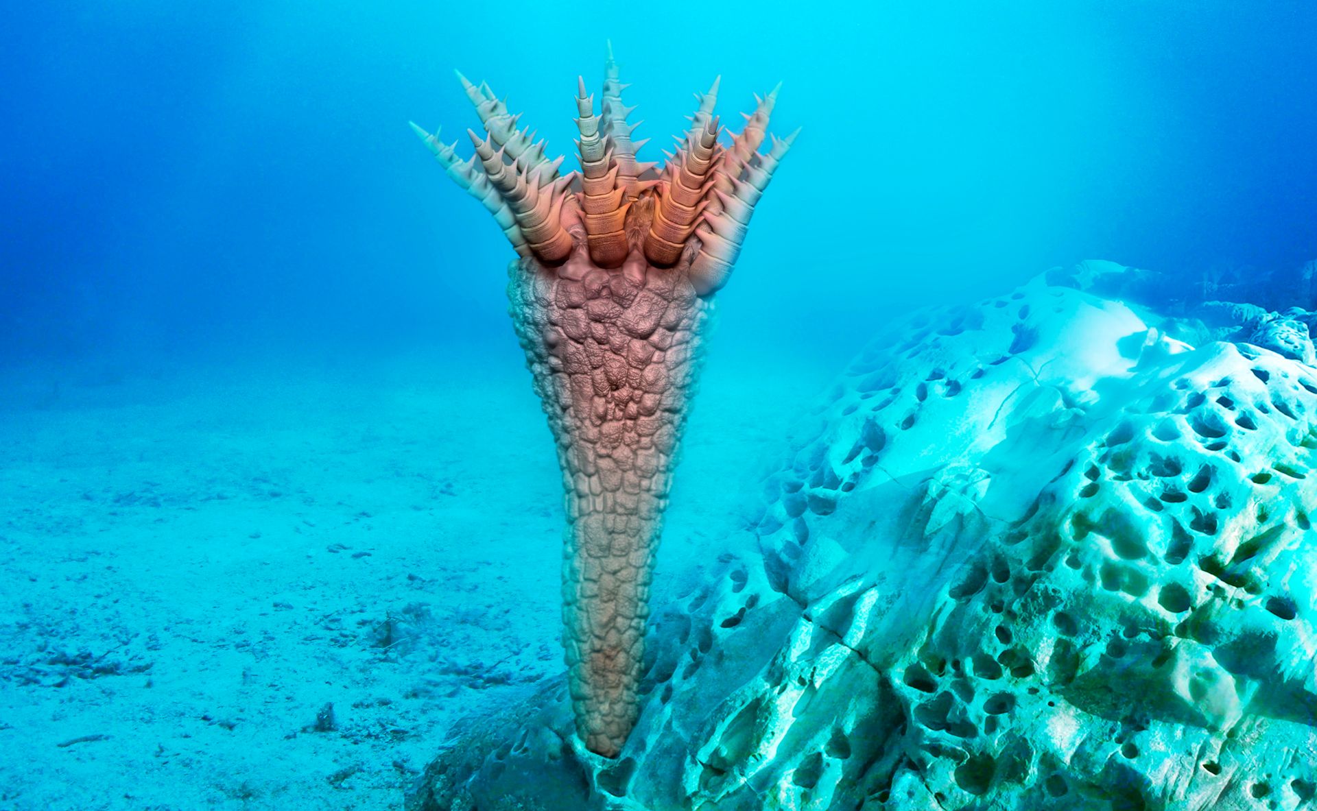 Echmatocrinus Facts | The Burgess Shale | DK Find Out