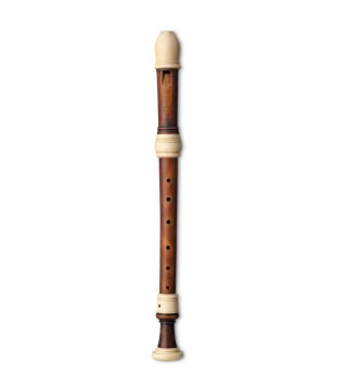 Woodwind Instruments List | Woodwind Family | DK Find Out