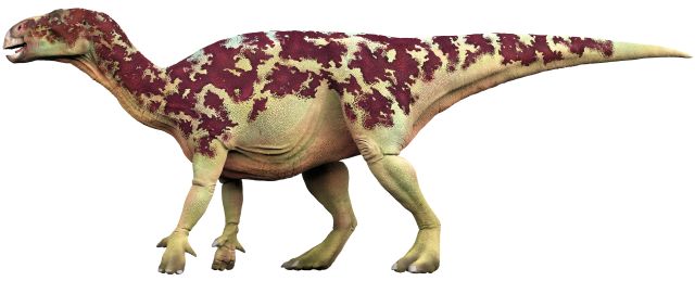 Dinosaur Facts | Types of Dinosaurs | DK Find Out