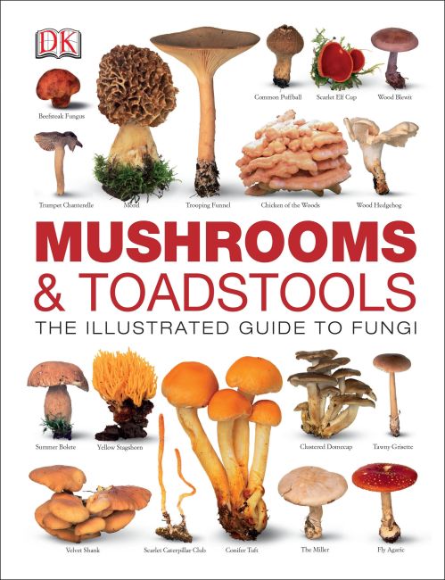 Mushrooms And Toadstools Dk Uk