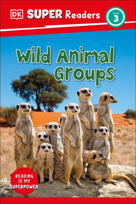 DK Super Readers Level 3 Wild Animal Groups | DK CA