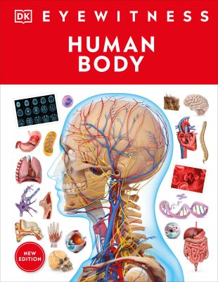 Human Body | DK Learning