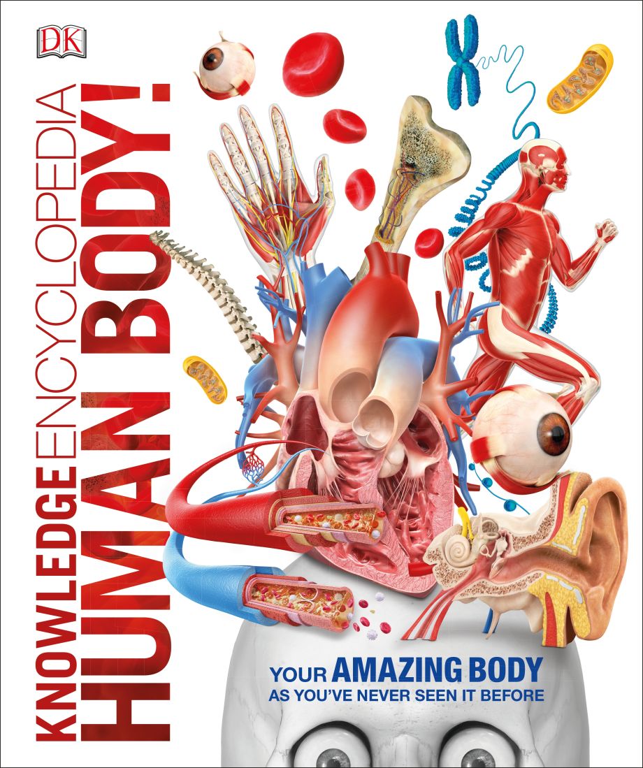 Knowledge Encyclopedia Human Body! | DK UK Knowledge Encyclopedia Human Body! | DK UK