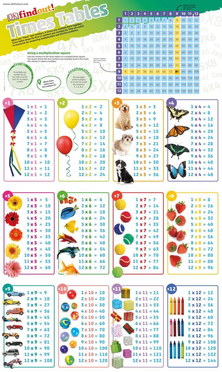 DKfindout! Times Tables Poster | DK UK