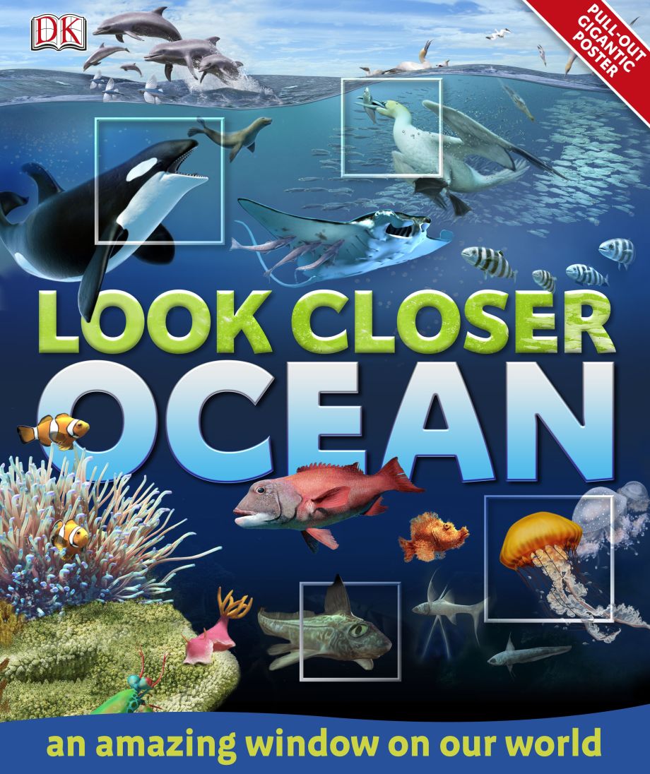 Look Closer: Ocean | DK US