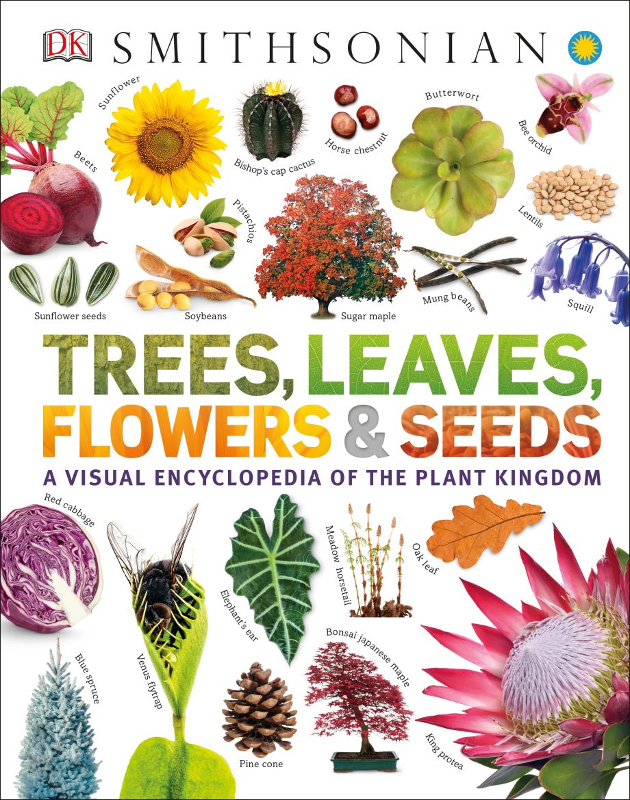 Trees, Leaves, Flowers & Seeds | DK US