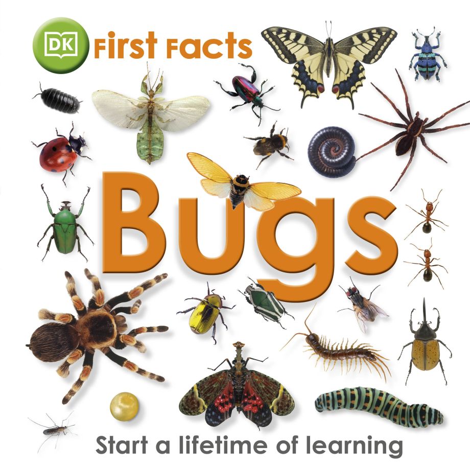 First Facts Bugs | DK UK