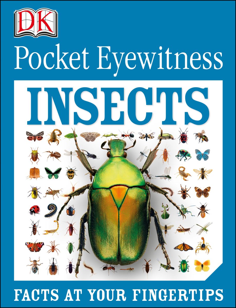 Pocket Eyewitness Insects | DK UK
