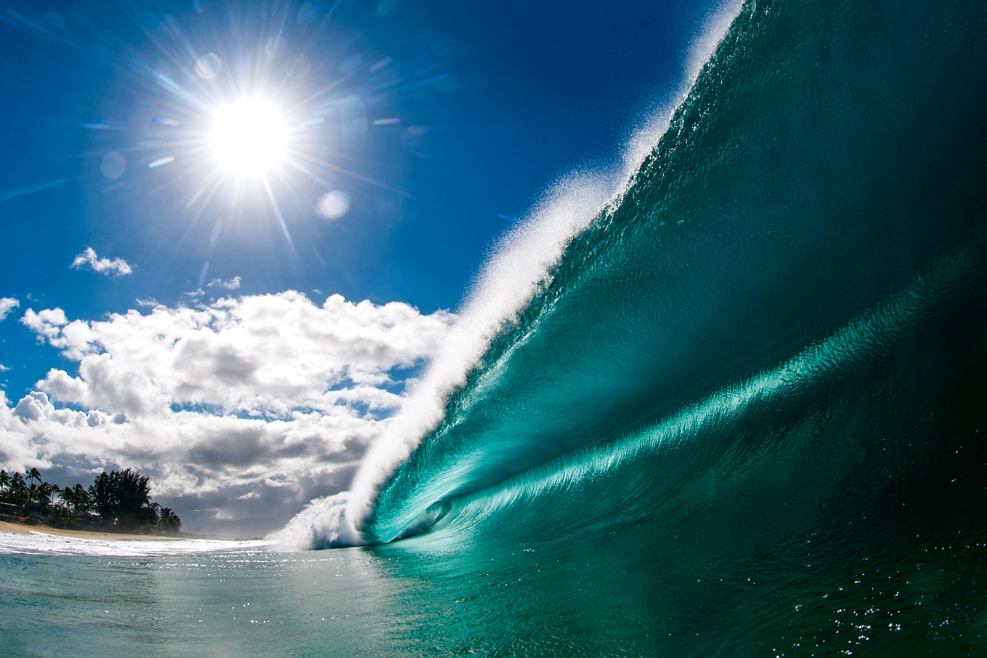 Clark Little Shorebreak