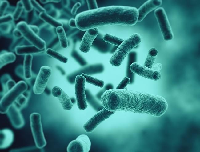 Yuk Kenalan Sama Amoxicillin – Apoteker Rudi