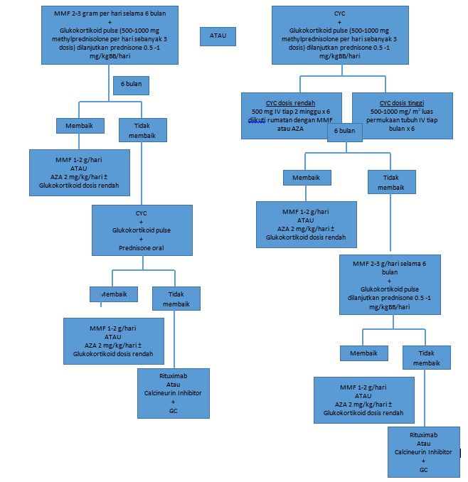 Penatalaksanaan Lupus Eritematosus Sistemik - Alomedika