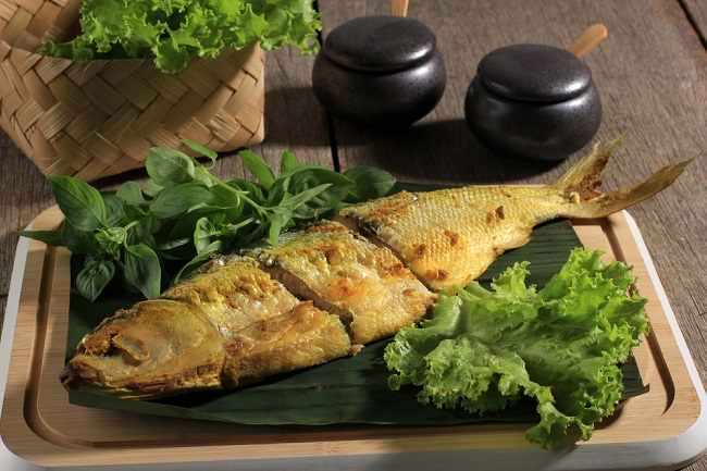 7 Manfaat Ikan Bandeng bagi Tubuh - Alodokter