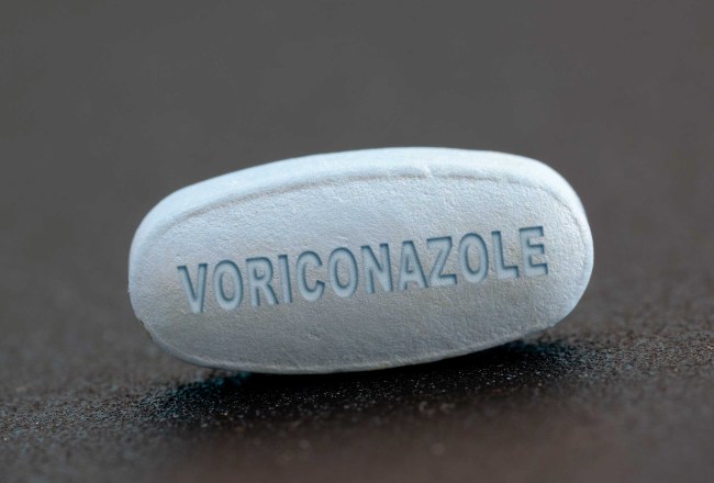 Voriconazole - Manfaat, Dosis, dan Efek Samping - Alodokter