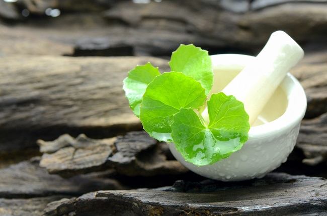 4 Manfaat Daun Pegagan Untuk Kesehatan Tubuh Alodokter