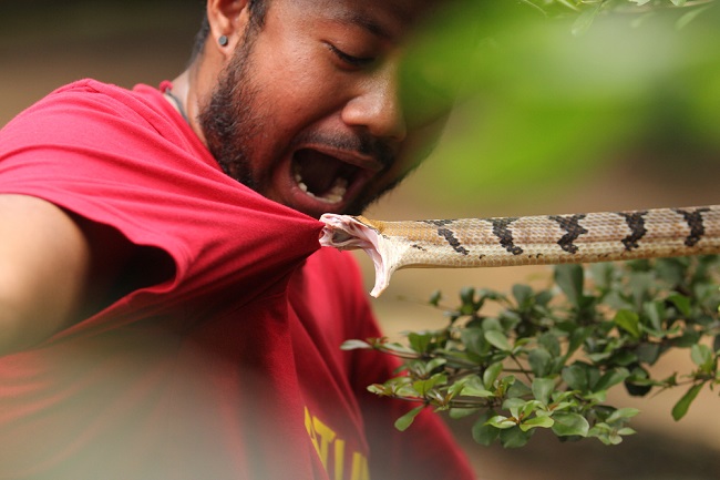 Seputar Ophidiophobia, Fobia terhadap Ular - Alodokter