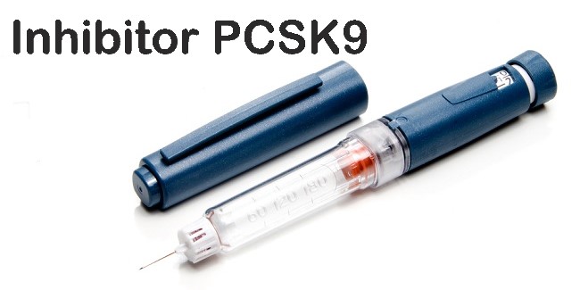 Inhibitor PCSK9 untuk Menurunkan LDL - Alomedika