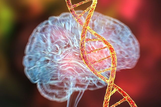 Tuberous Sclerosis - Gejala, Penyebab, dan Pengobatan - Alodokter