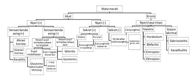 Diagnosis Mata Merah - Alomedika