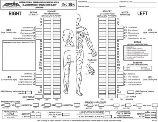 Diagnosis Spinal Cord Injury - Alomedika